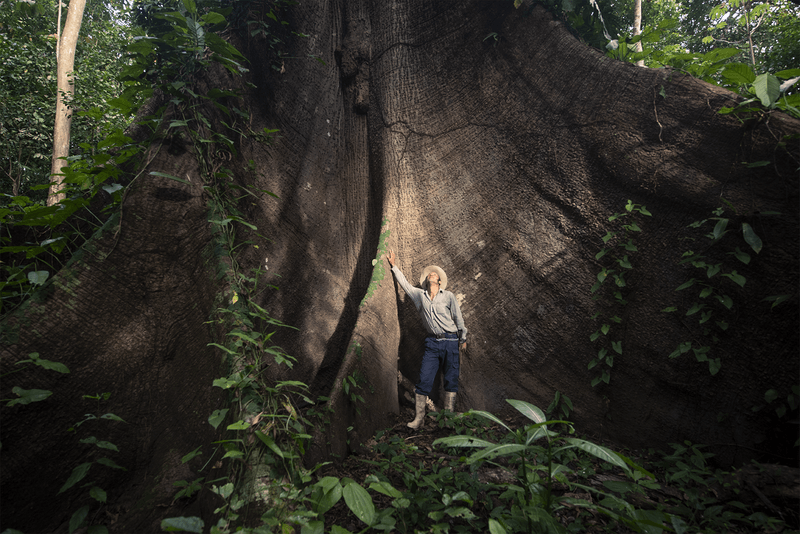 One Small Planet Earth