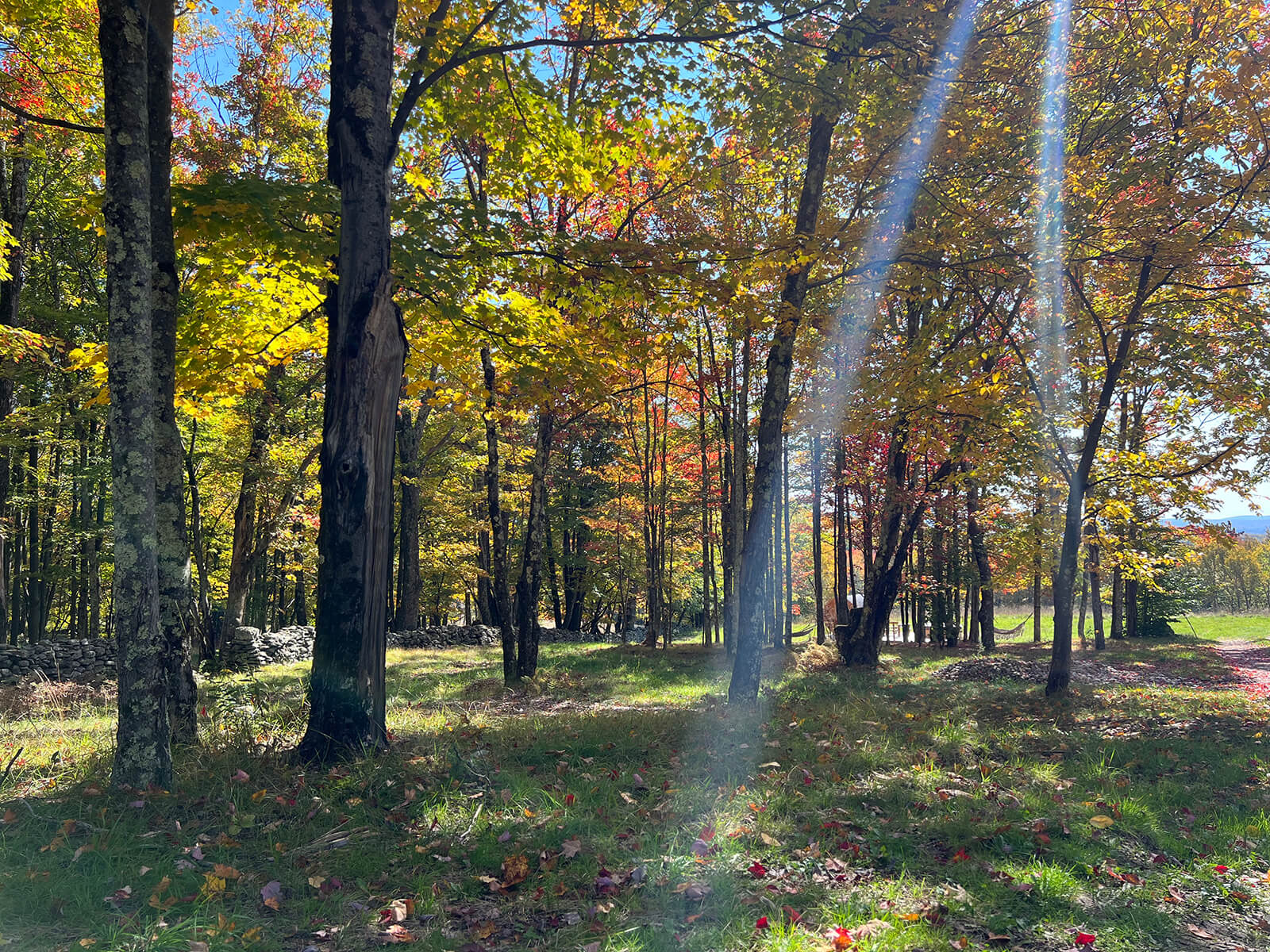 AKERA - A Generational Retreat Center - About Us