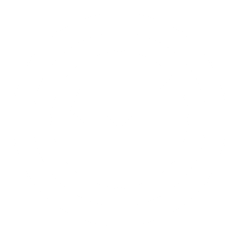 Next Level Ministries