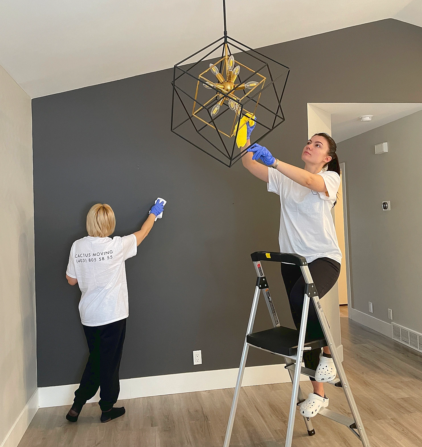 Cleaning Services In Calgary - Calgary Cleaners 🌵 Cactus Cleaning