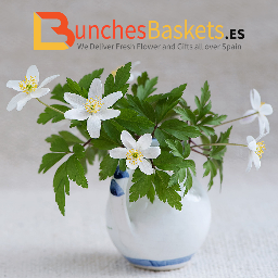 My Workspace - Webflow