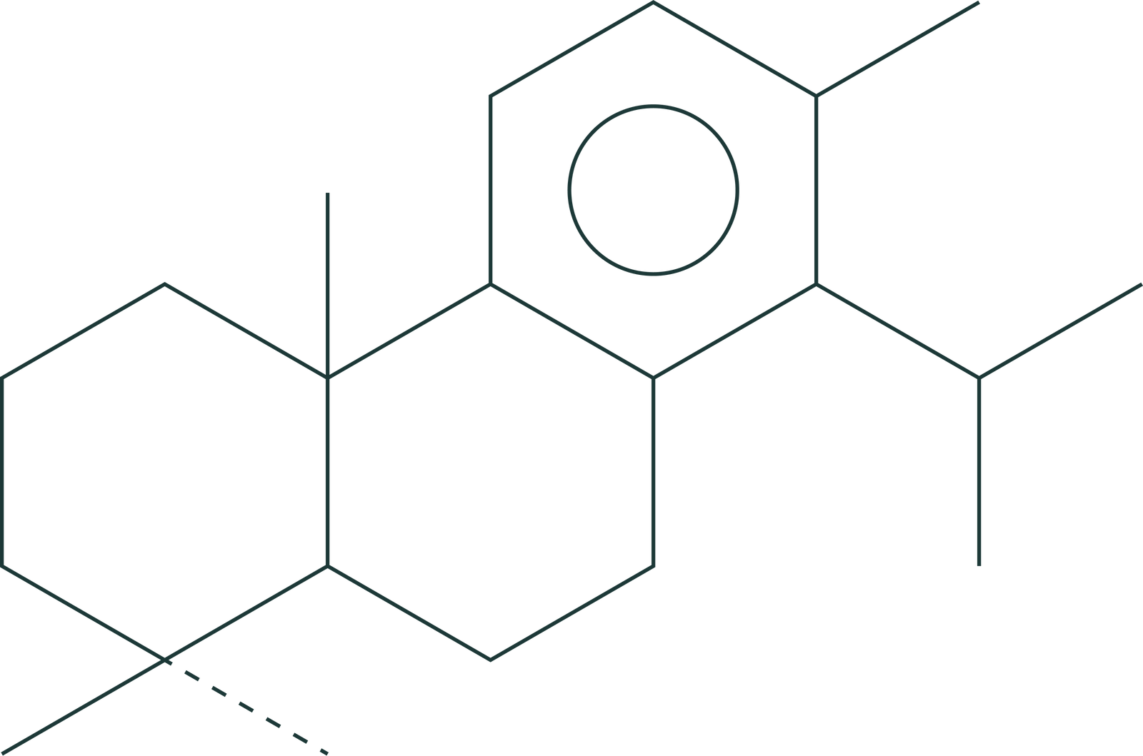 Bioactive Totarol™ NZ