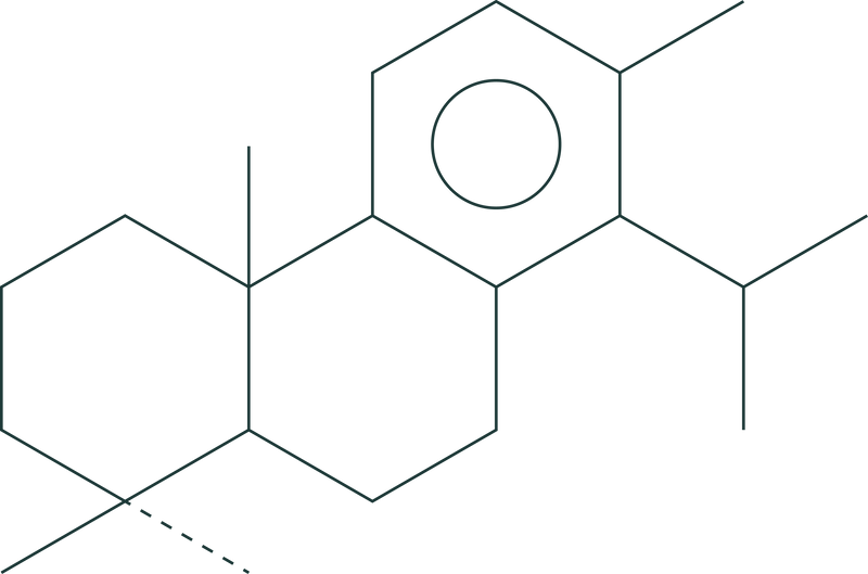 Bioactive Totarol™ NZ