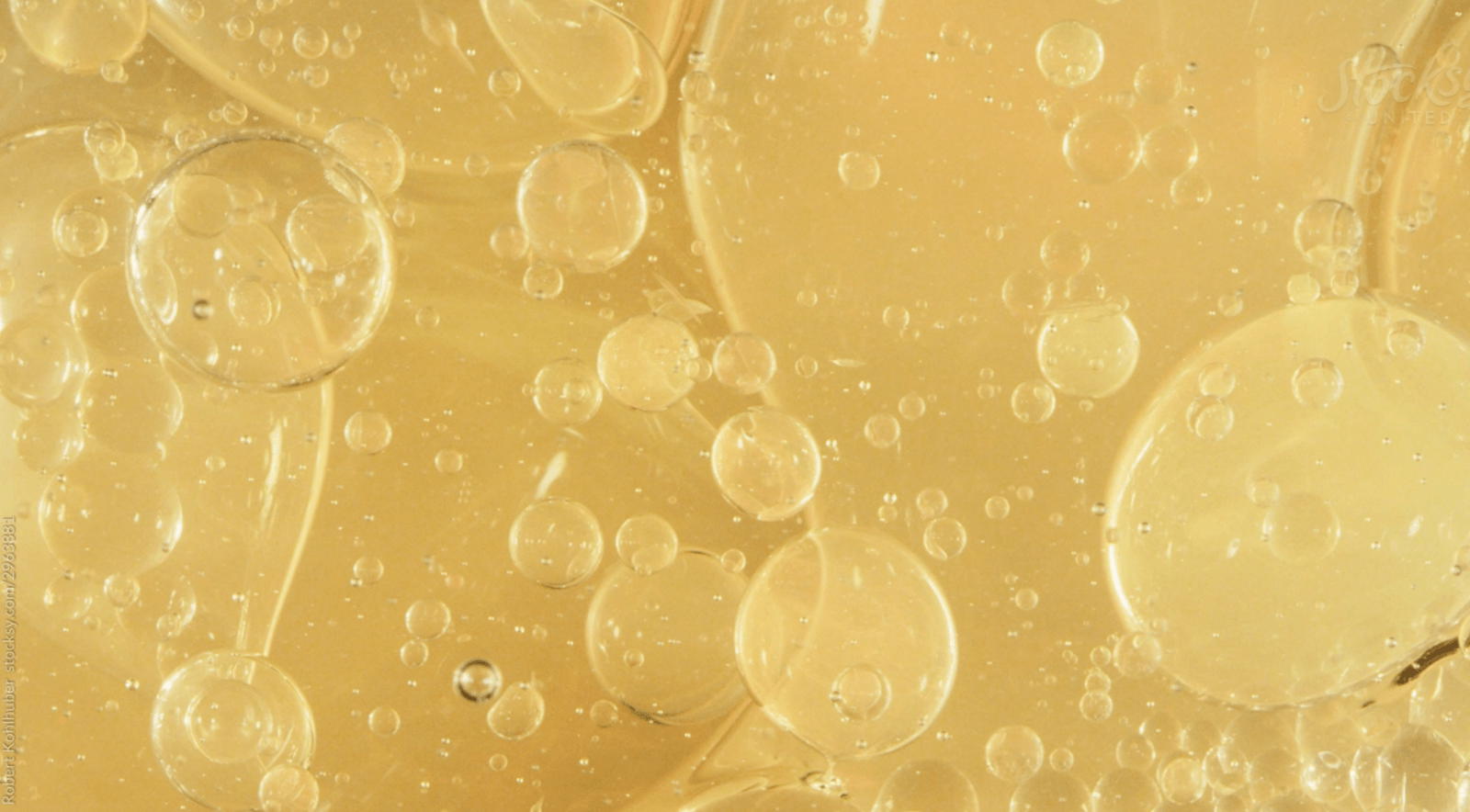 Bioactive Totarol™ NZ