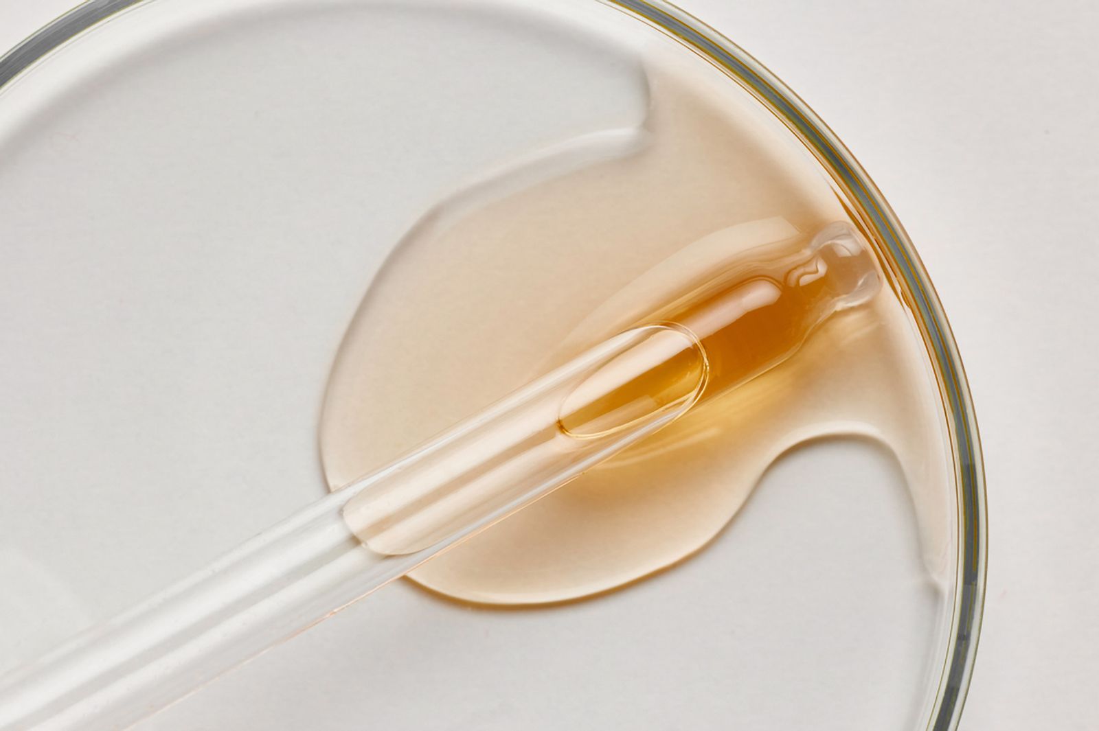 Bioactive Totarol™ Product Range