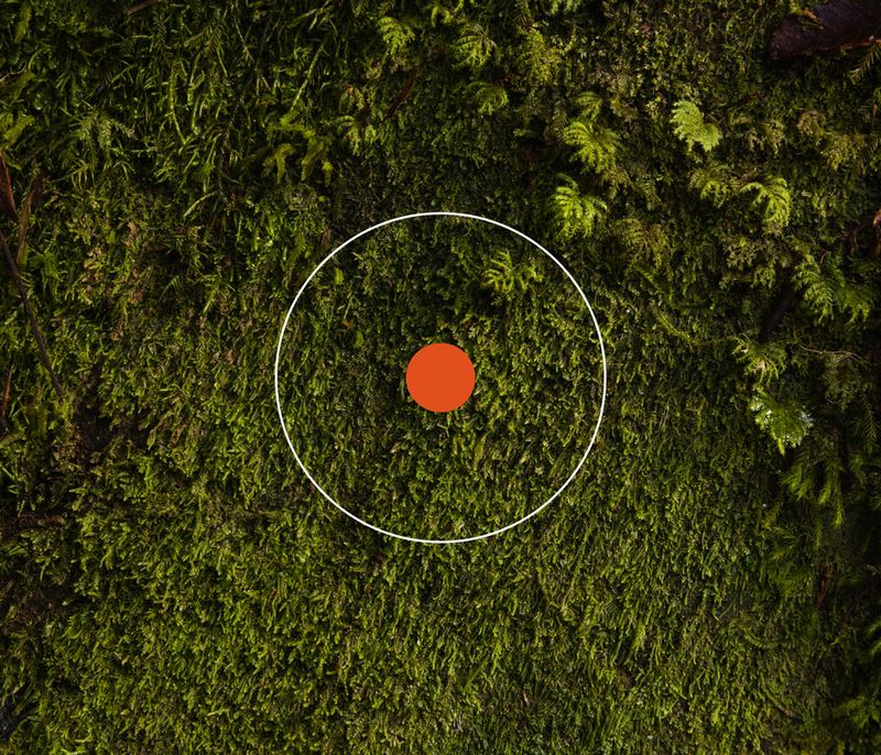 Bioactive Totarol™ NZ