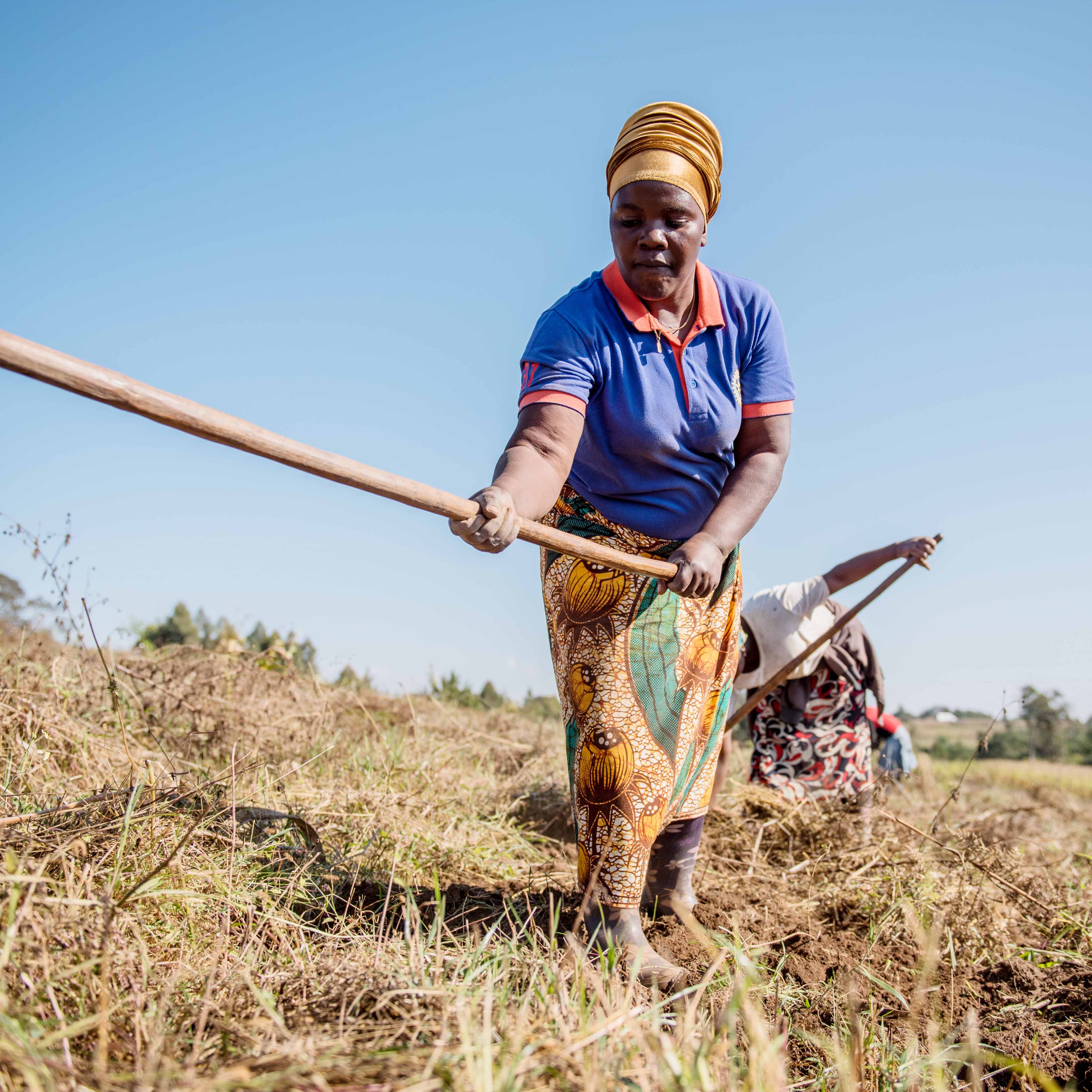 Grant Eligibility | The International Foundation