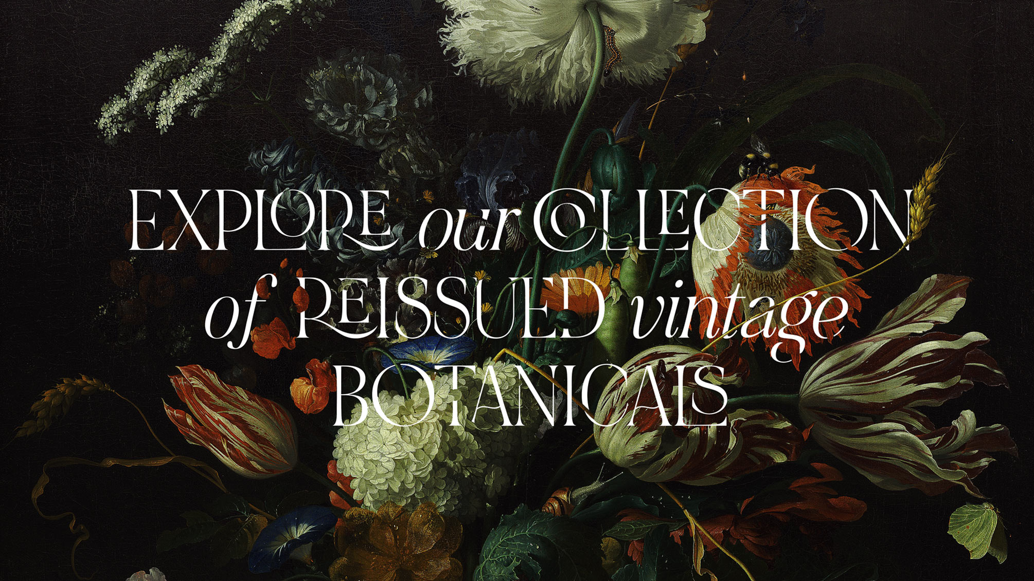 FurtherEast - Case study - Erstwhile