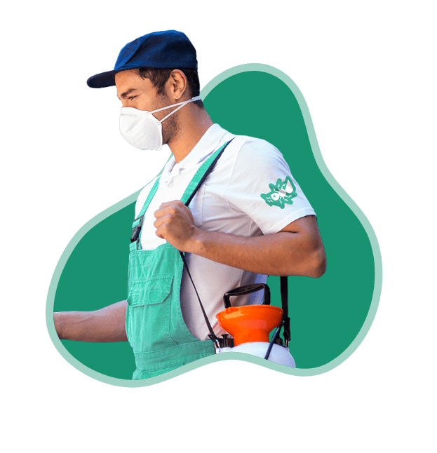 Commercial & Residential Pest Control Solutions | The Pest Project