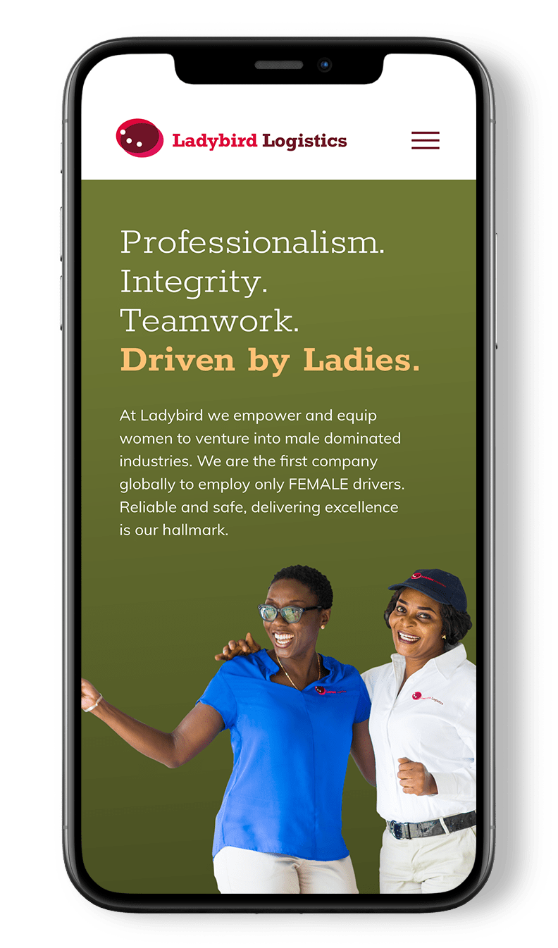Ladybird Logistics Website Design And Build