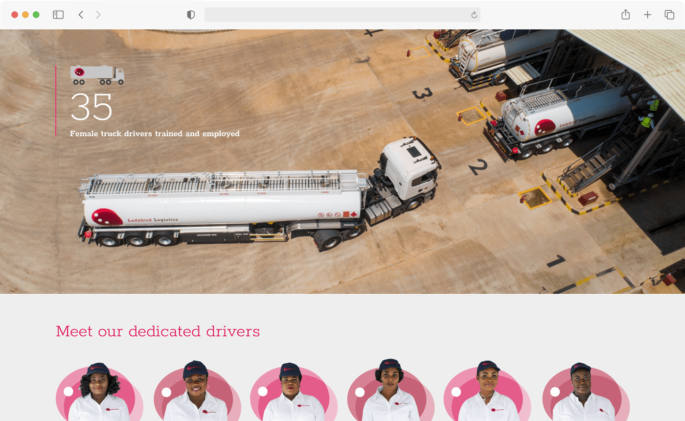 Ladybird Logistics Website Design And Build