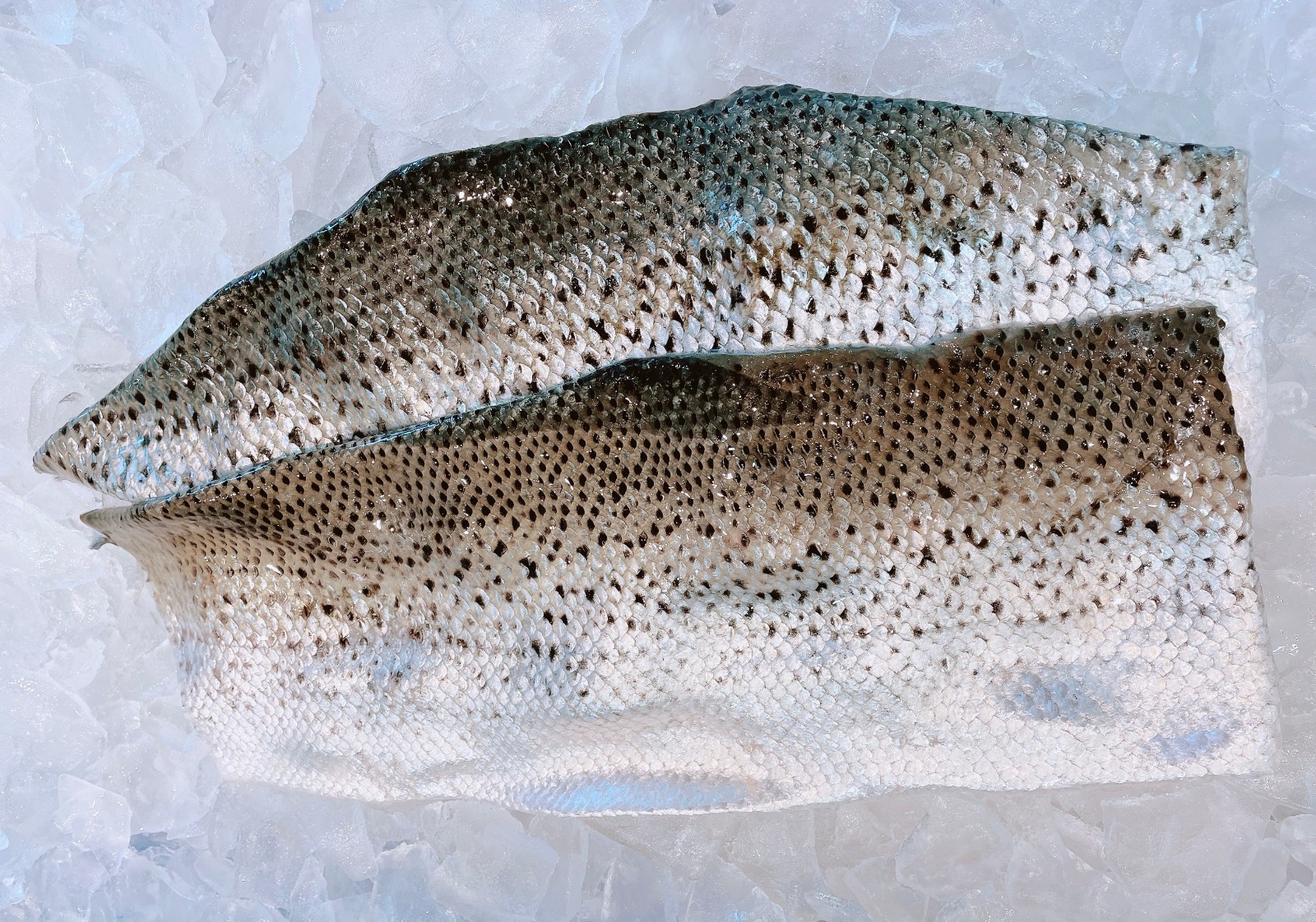Salmon skin / kulit salmon | Seafood | justbuy.id