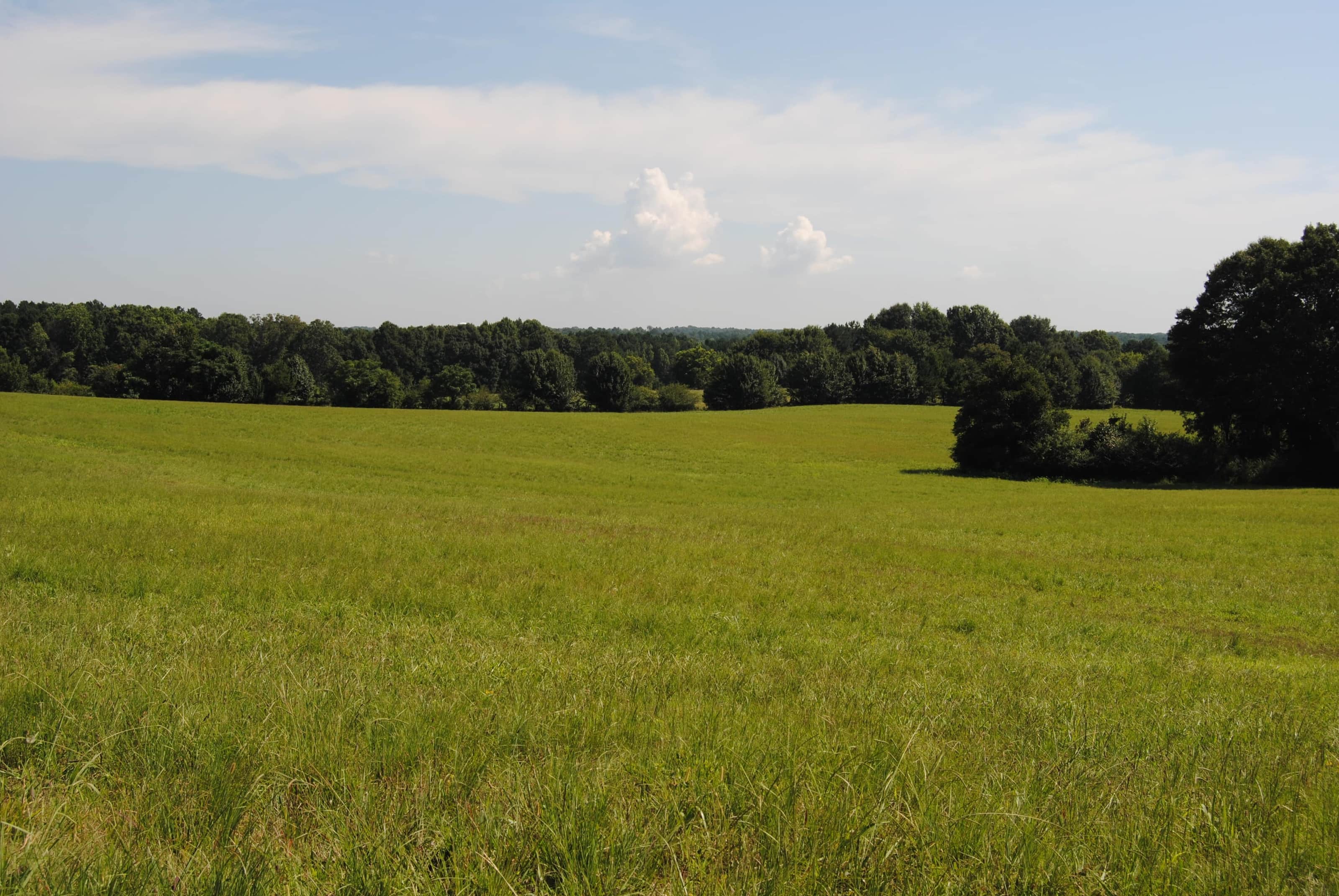 Trilith Studio Backlots