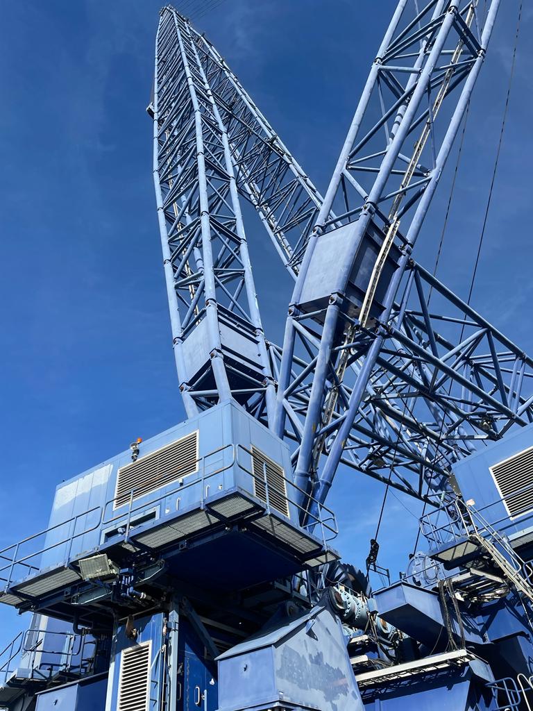 Ring Cranes