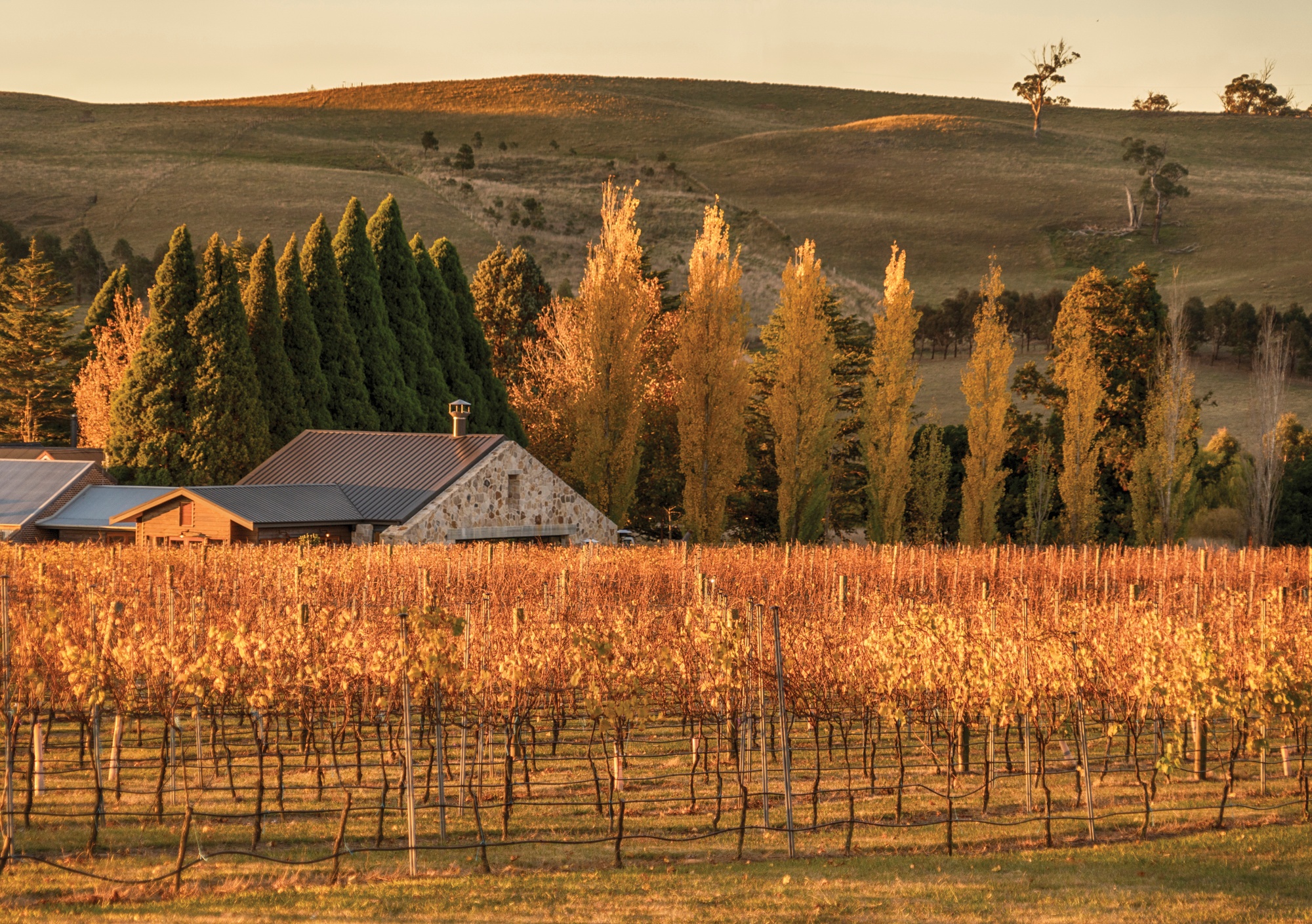 KINTO - The Ultimate Autumn Road Trips to Explore Australia's ...