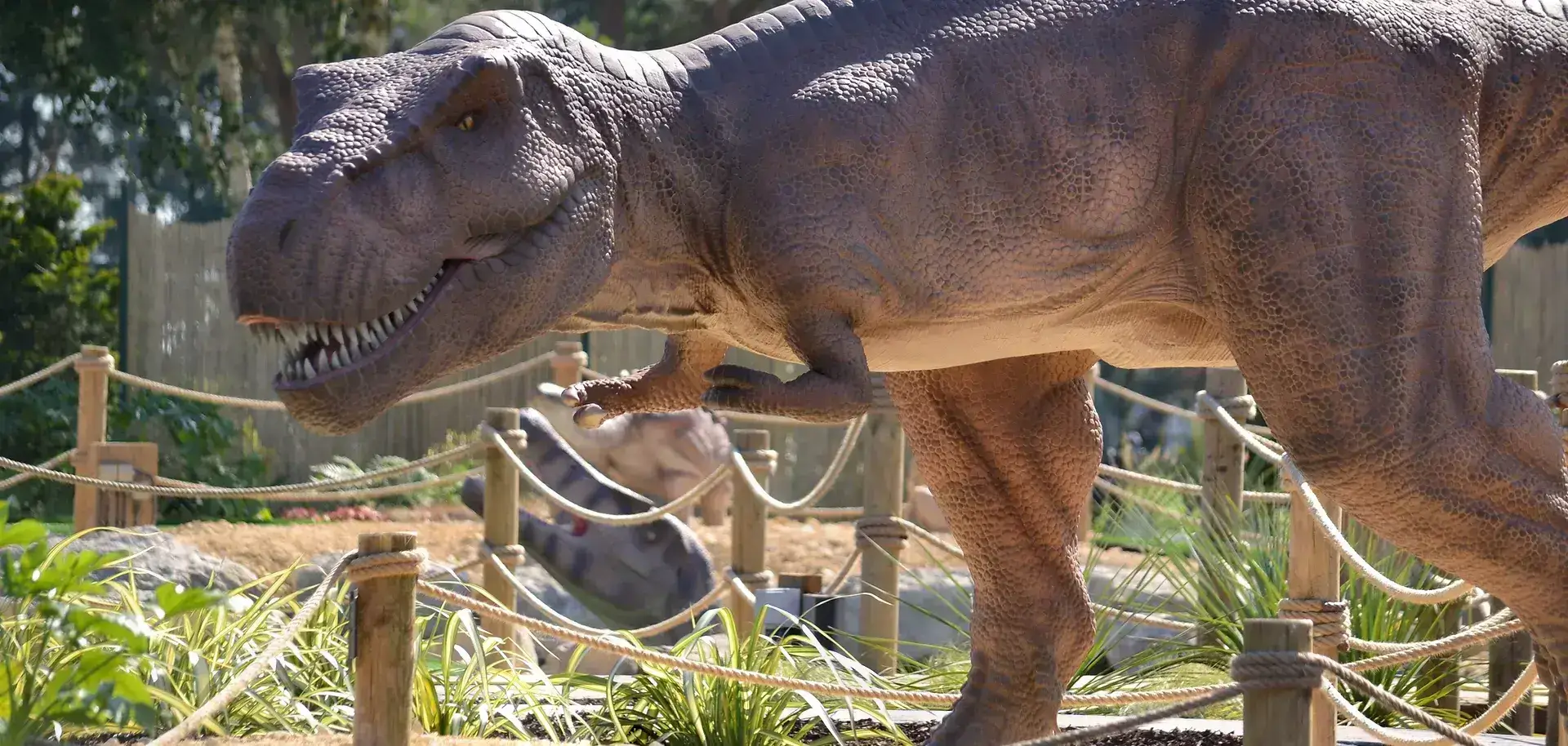 Adventure Golf - The Mount Golf Club