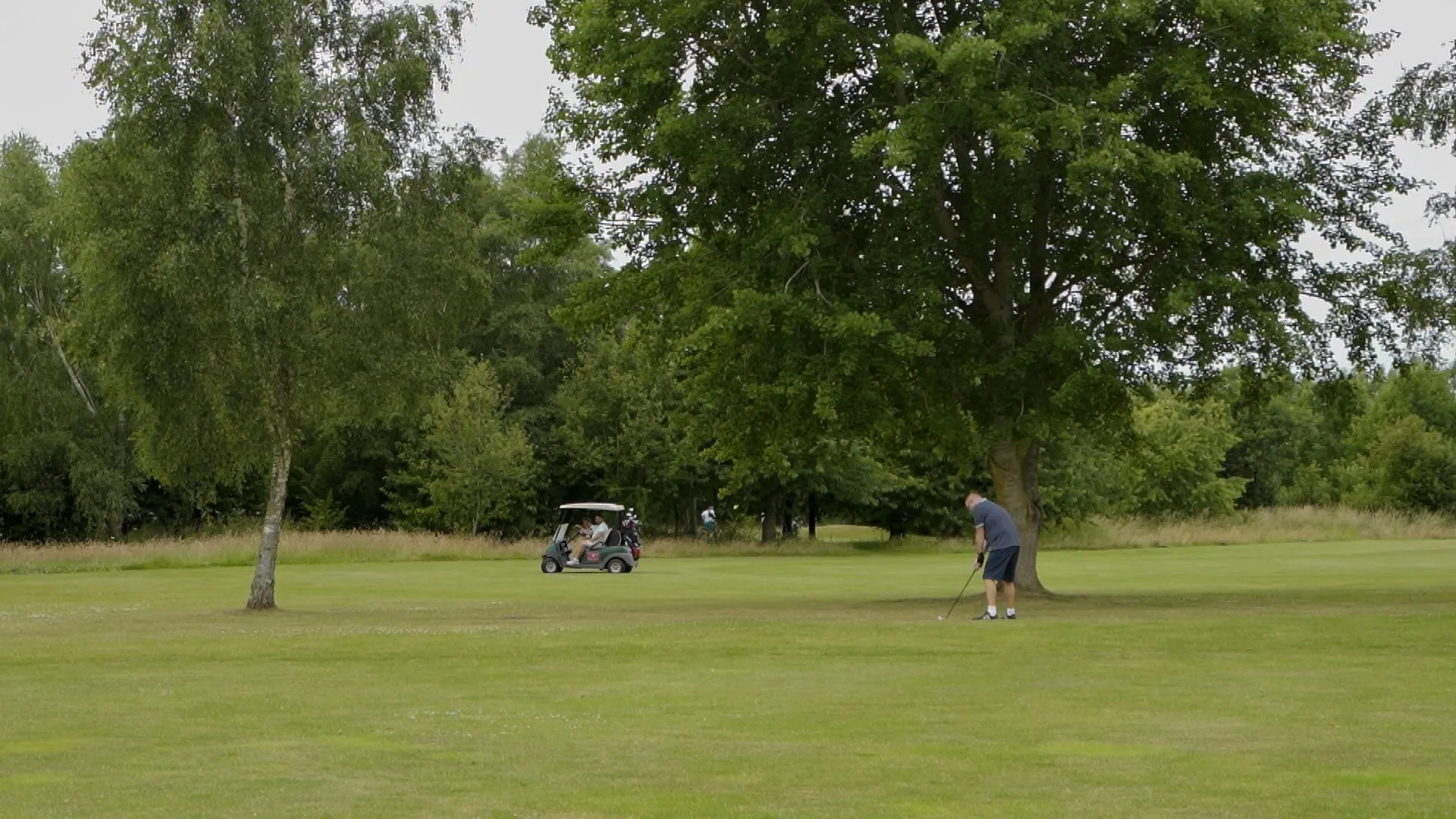 Green Fees - The Mount Golf Club