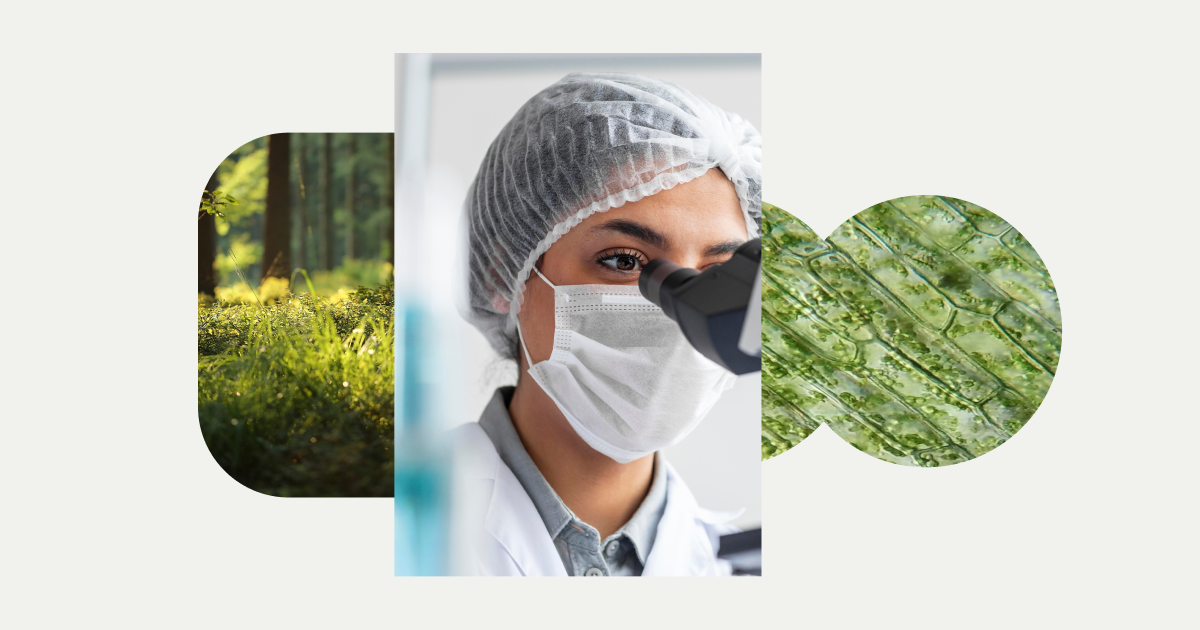 Pangea Bio | Inspired by nature, powered by AI