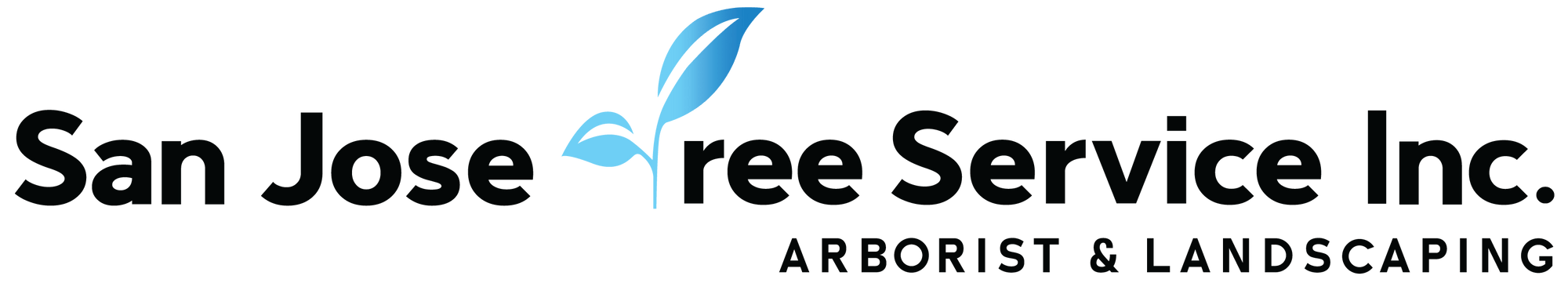 San Jose Tree Service | Tree, Arborist, & Landscaping Services