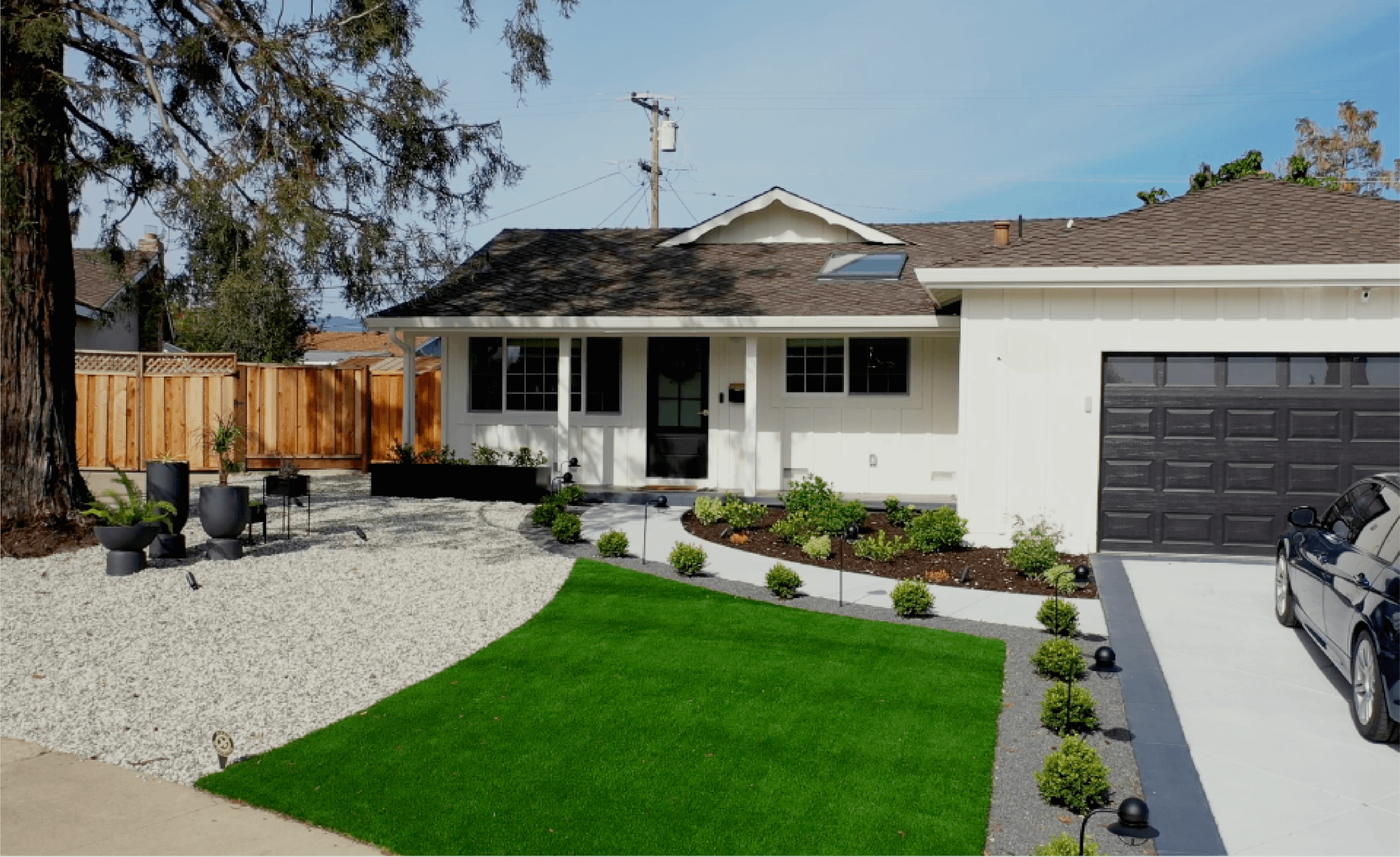 San Jose Tree Service | Tree, Arborist, & Landscaping Services
