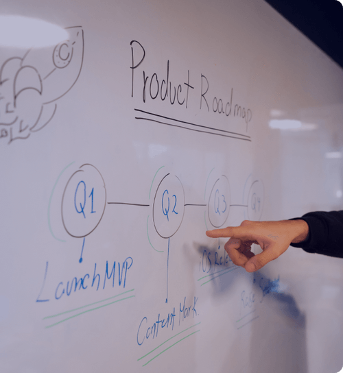 Ocello Systems - Accelerate Your Vision