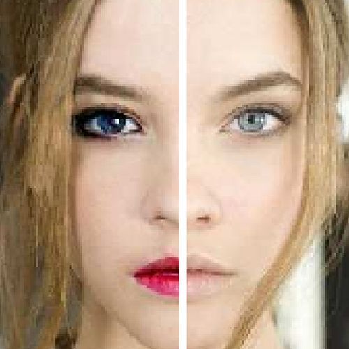 Litmaps Spotlight – Generative Makeup Transfer