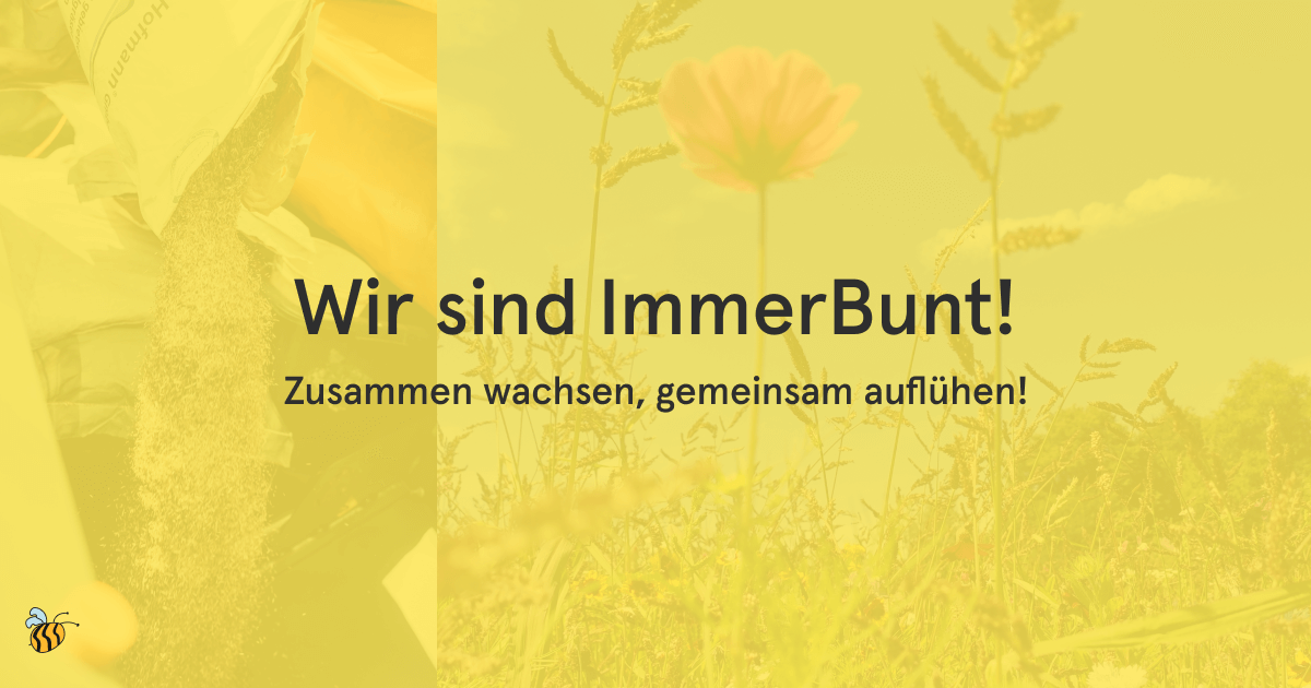 Unsere Projekte - ImmerBunt