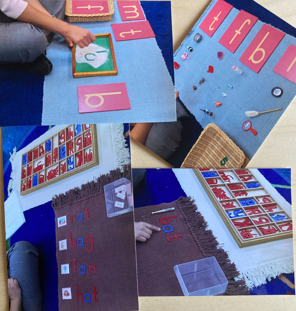 GEAR Montessori In Motion 01