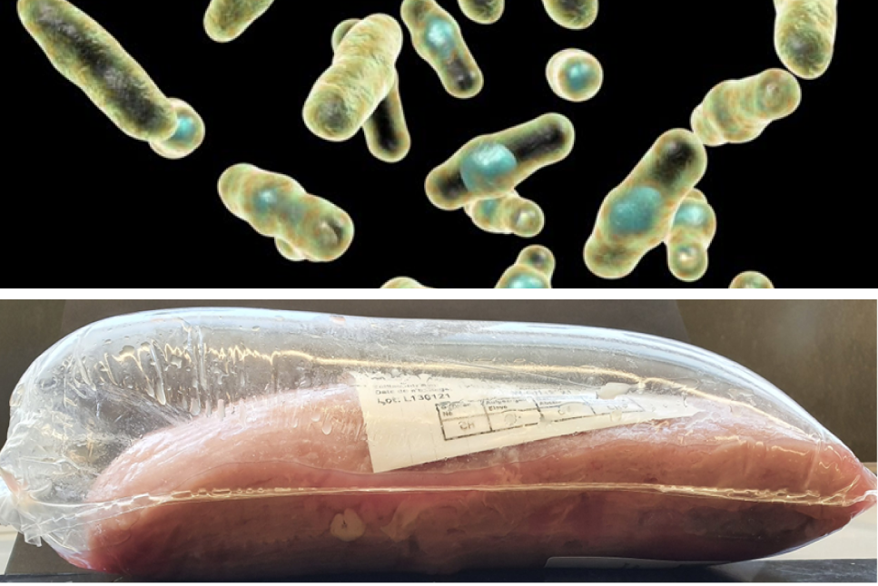 Centre for Bioparticle Applications