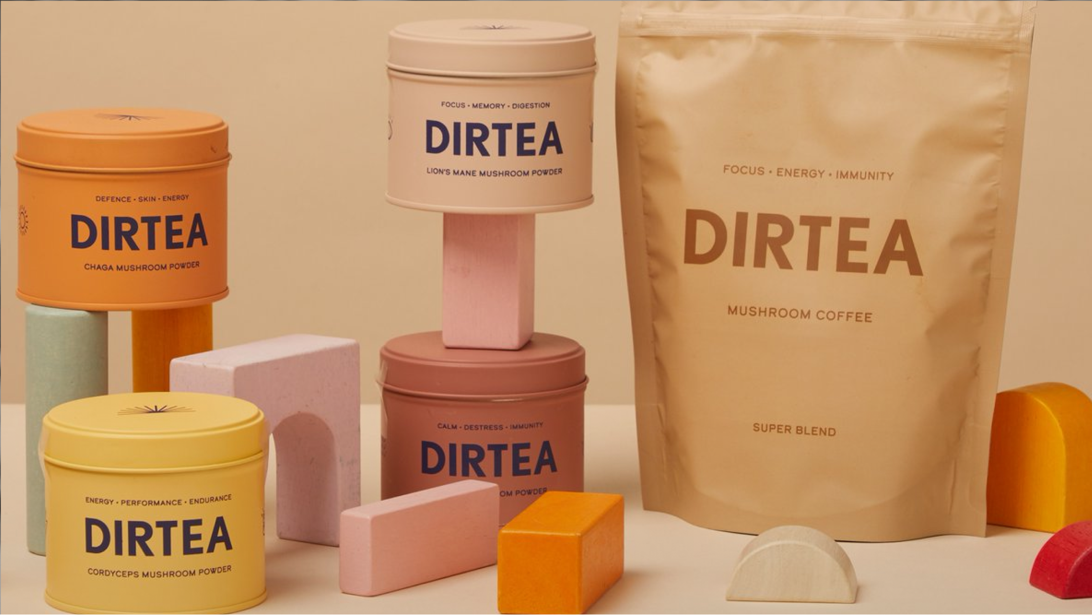 Dirtea x Move78: Fundraising strategy, Introductions