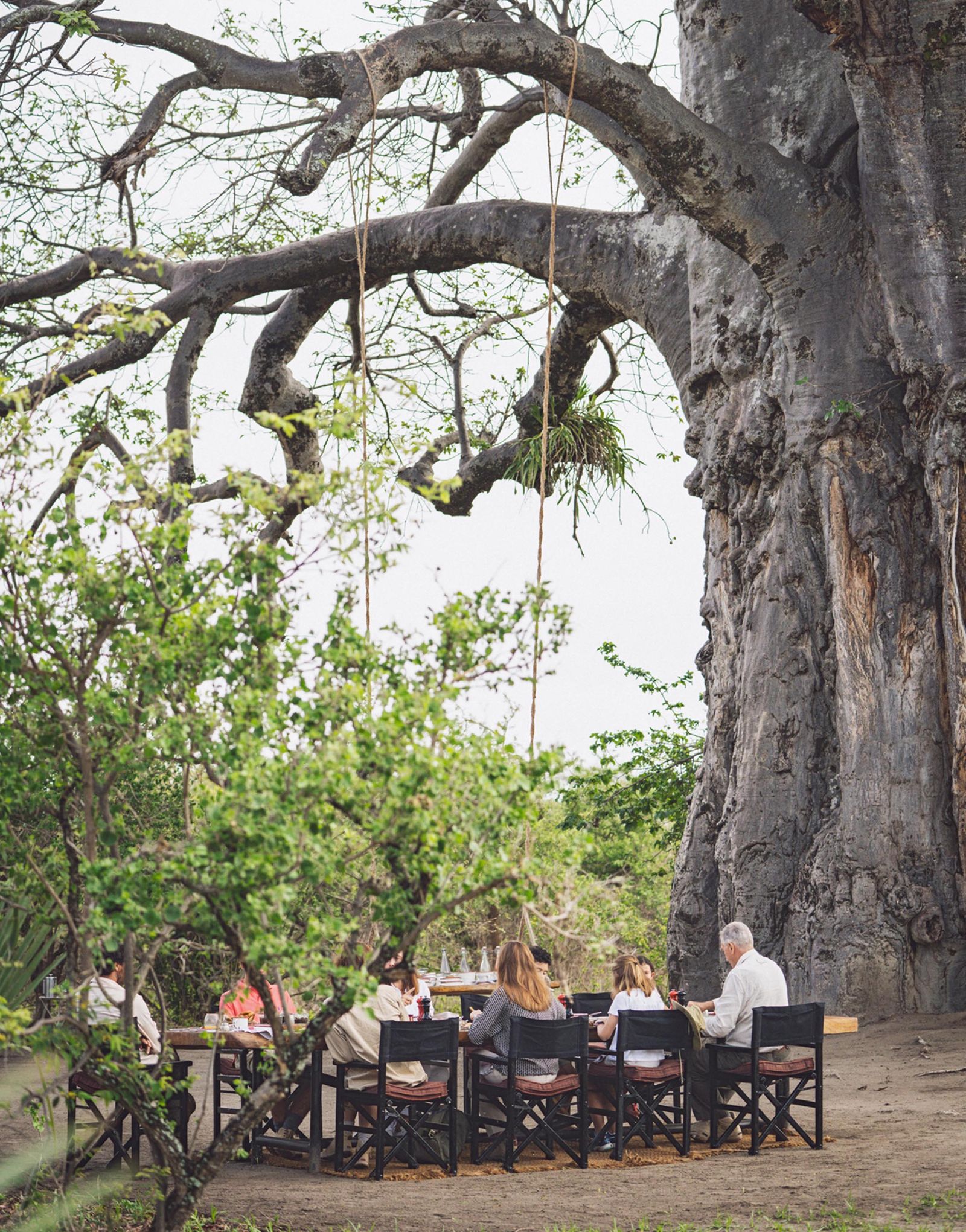 Chem Chem Properties