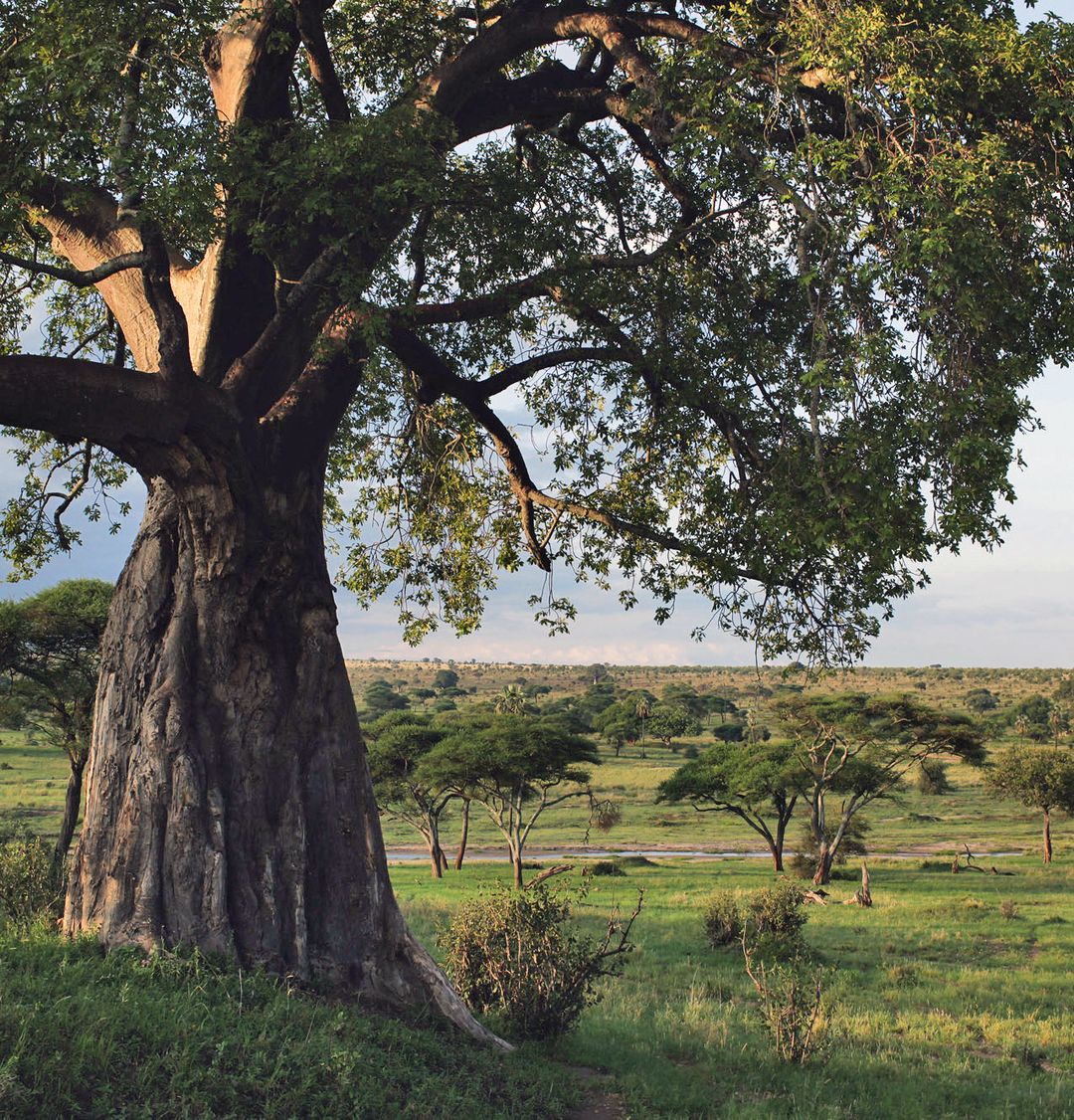 Chem Chem Properties