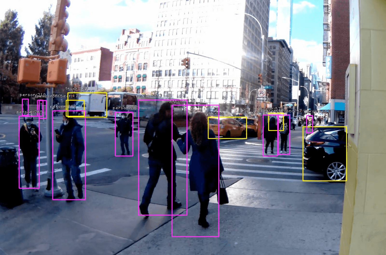 Pedestrian Counts - Detection | Safari AI