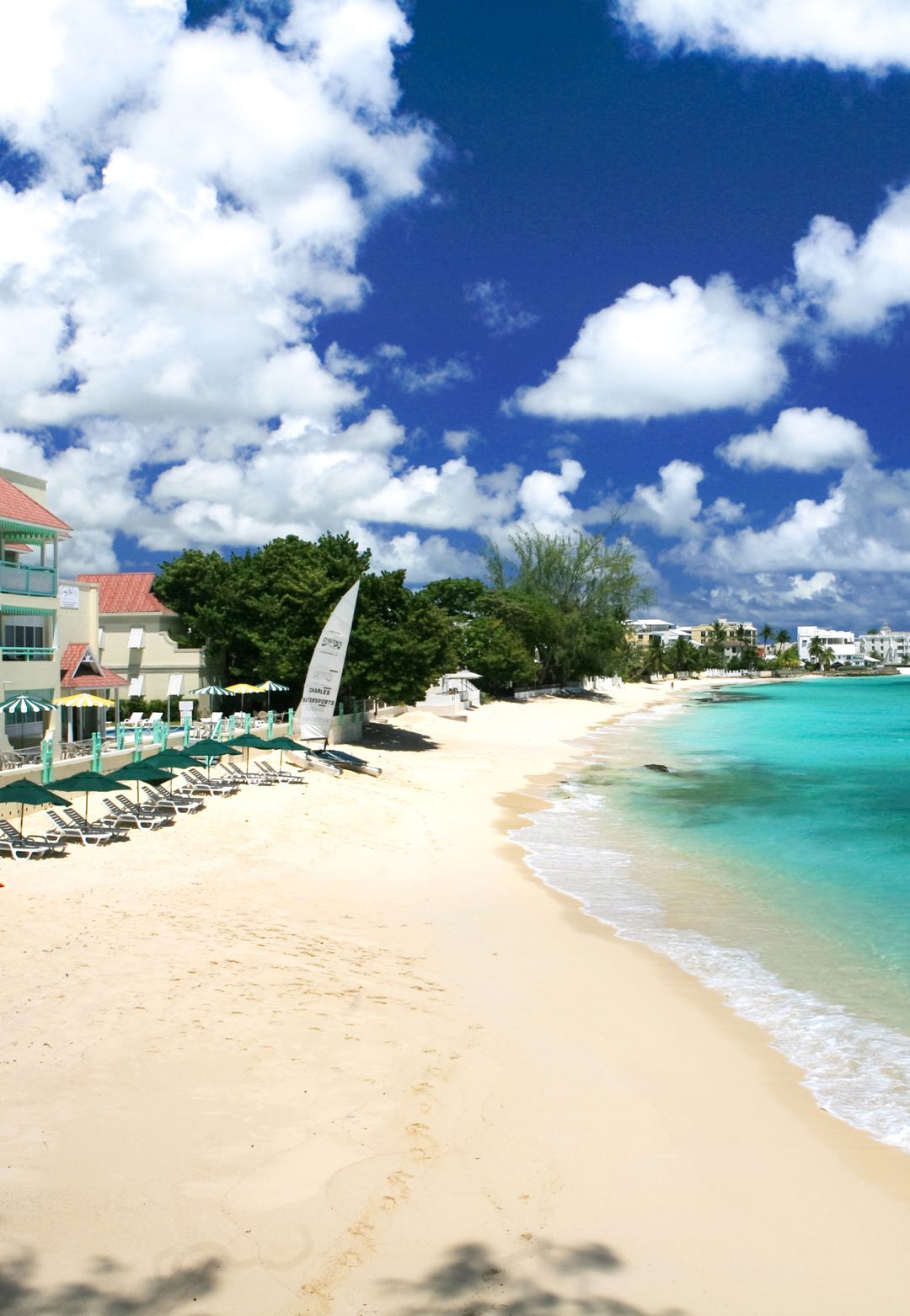 Coral Mist Beach Hotel in Barbados - Home