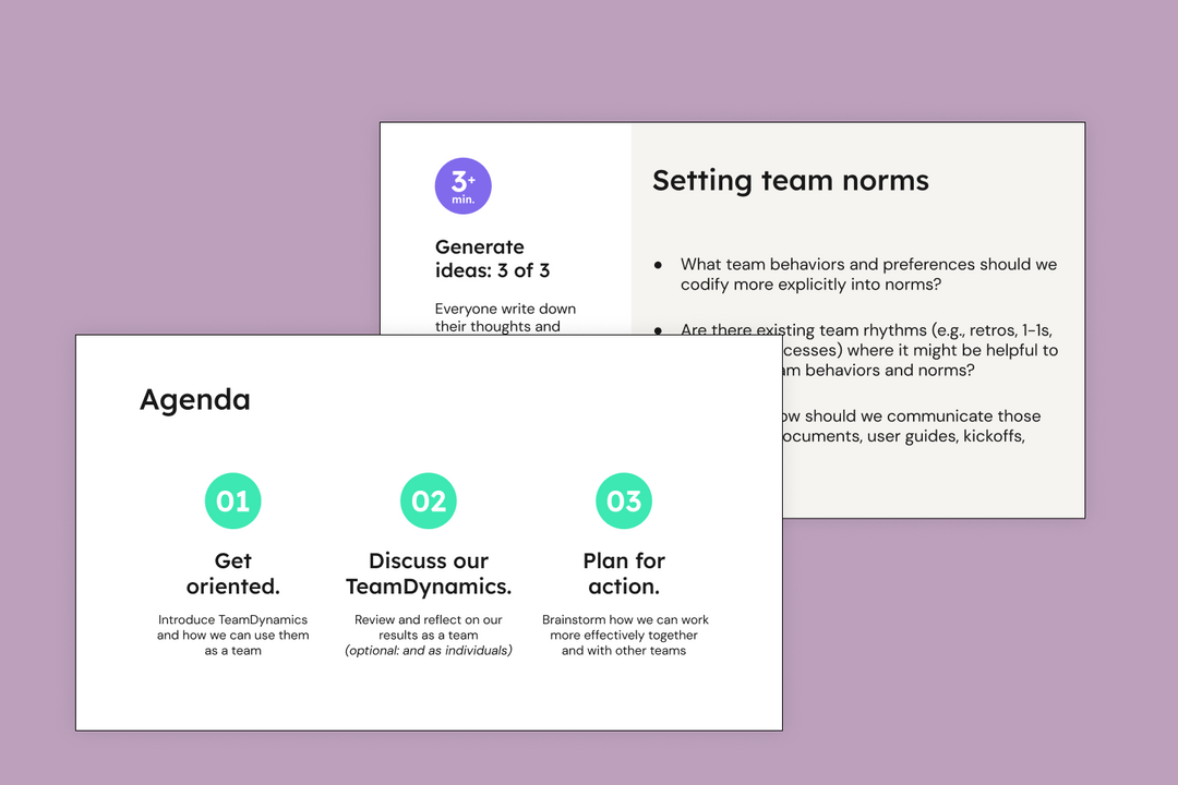 TeamDynamics - The Personality Test for Modern Teams