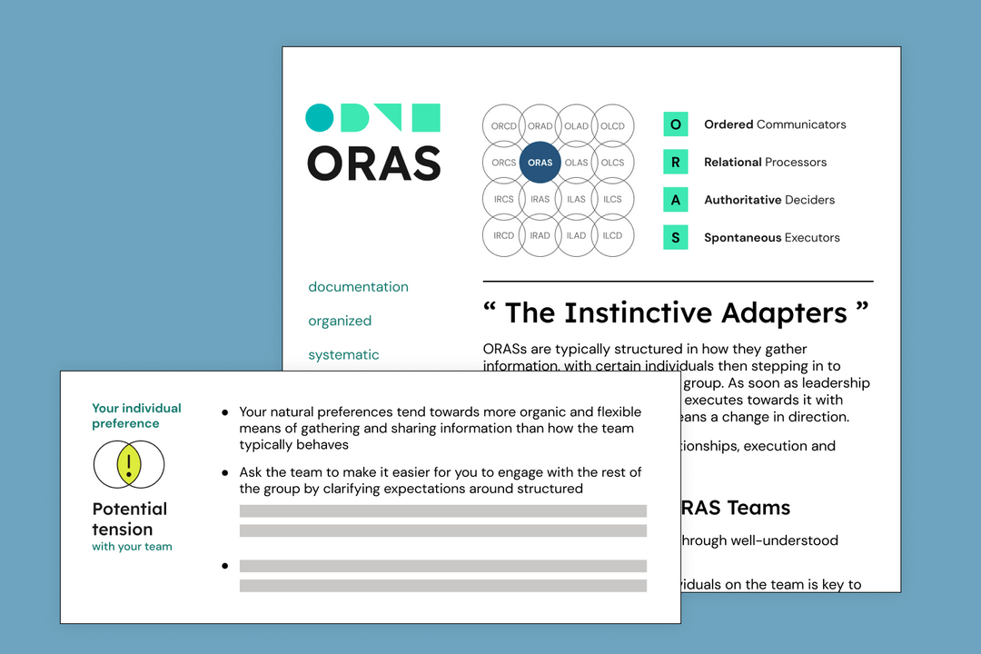 TeamDynamics: The Personality Test for Modern Teams