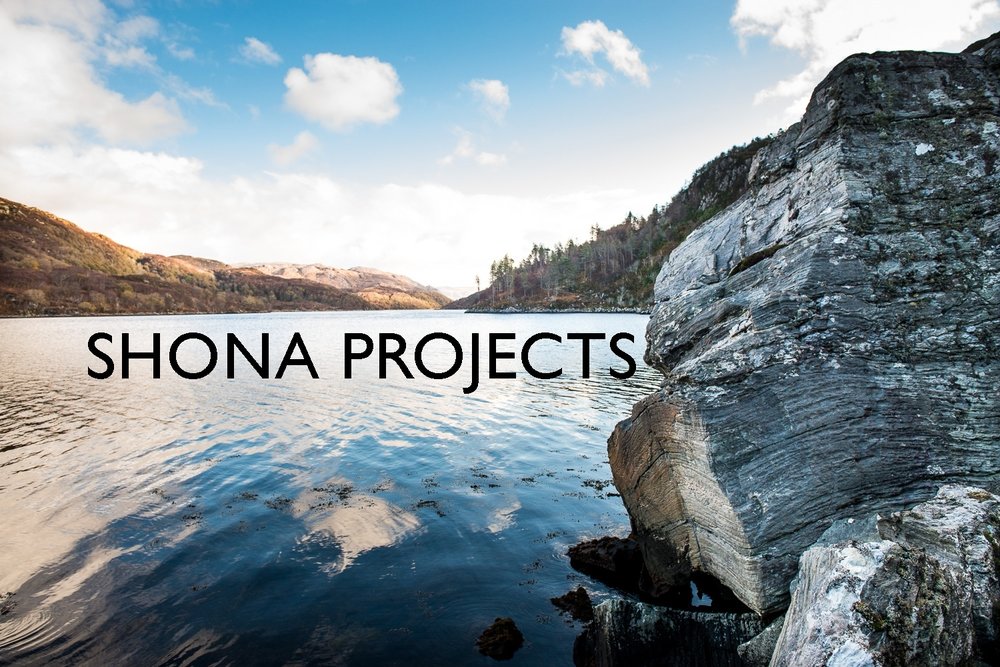 The Scoop Weekly: 29th of October