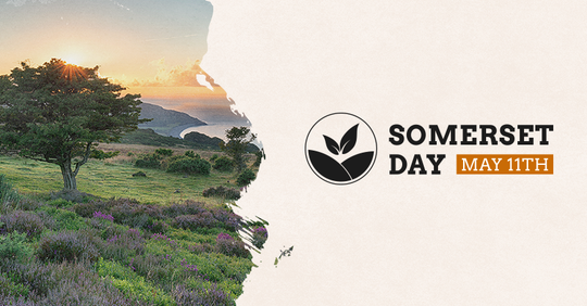 Somerset Day | Flying the Flag for Somerset