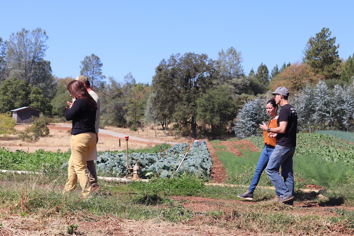 Agreement-Building Services – California FarmLink