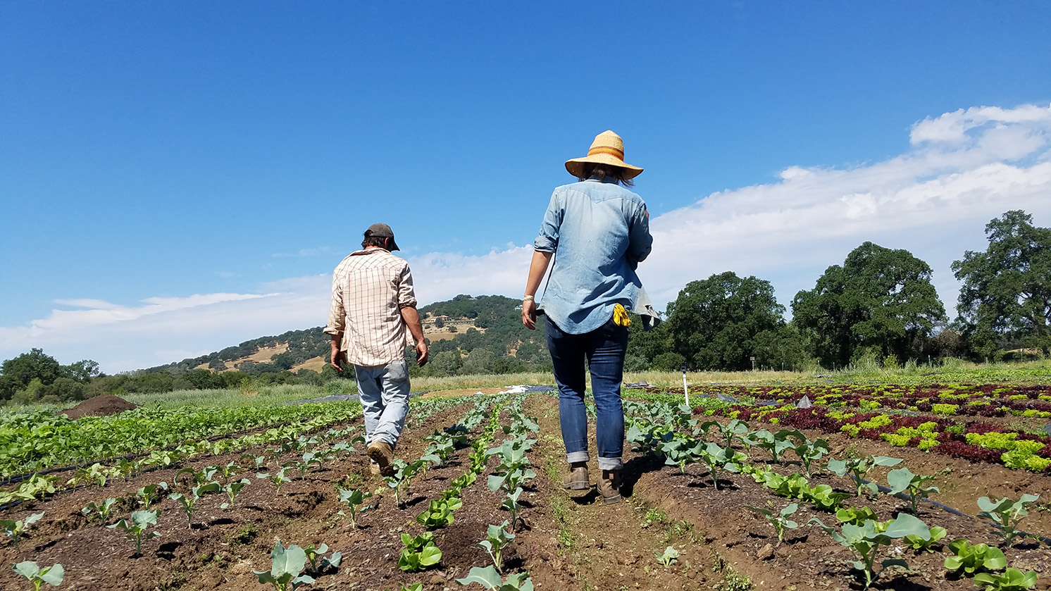 Land Access – California FarmLink