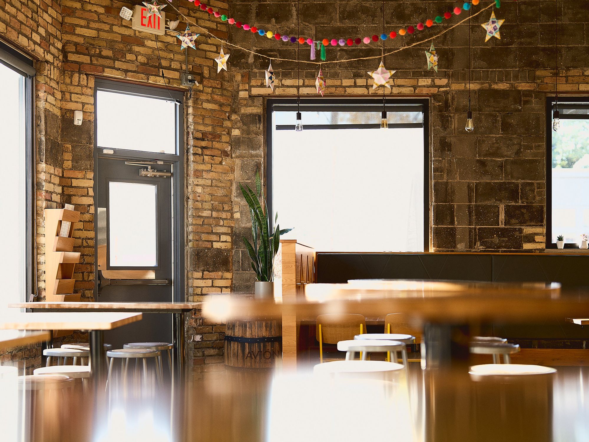 Donkey - Grand Rapids