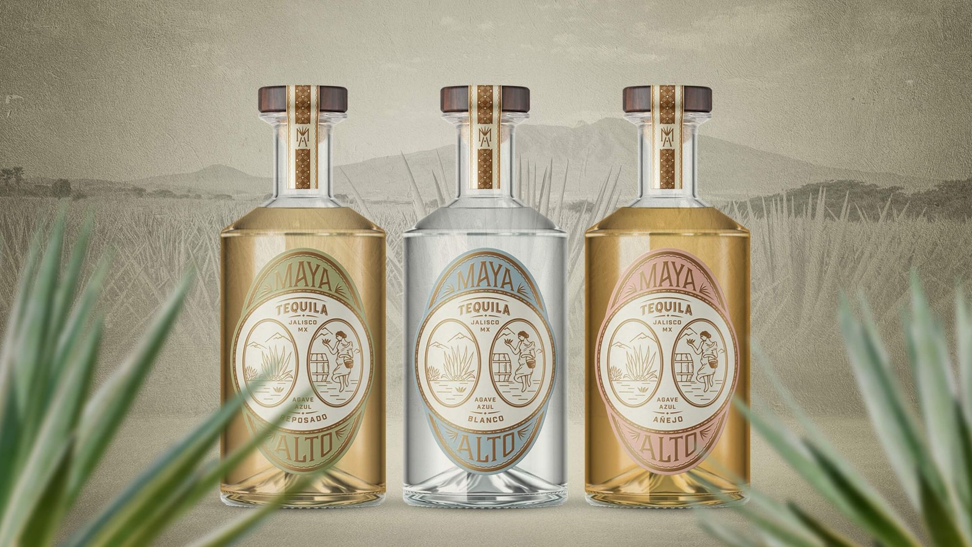 Maya Alto Tequila – Farm Design