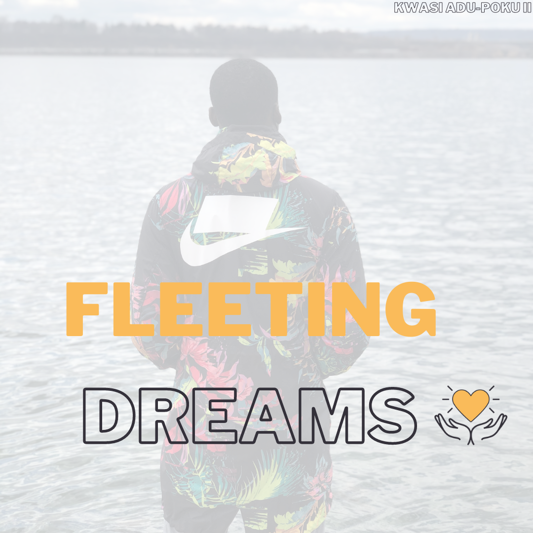 What is Fleeting Dreams? | Reach Series | The Reach Series