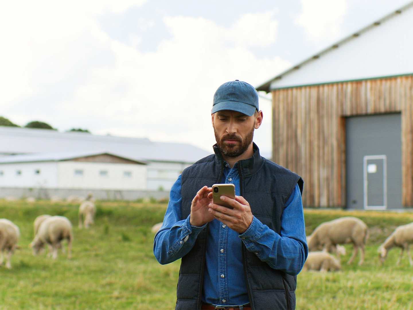 Property Advisory - Home