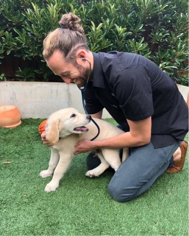 First Paw - Best Mobile Veterinarian Service