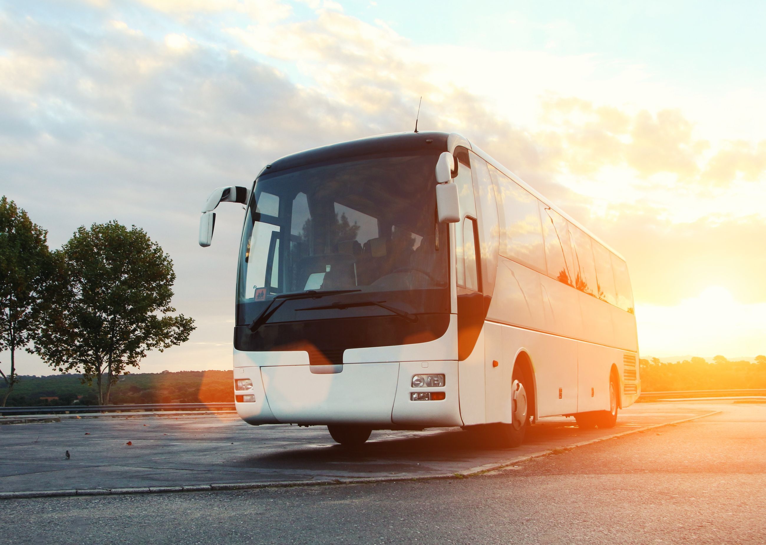 Om oss | Sharebus