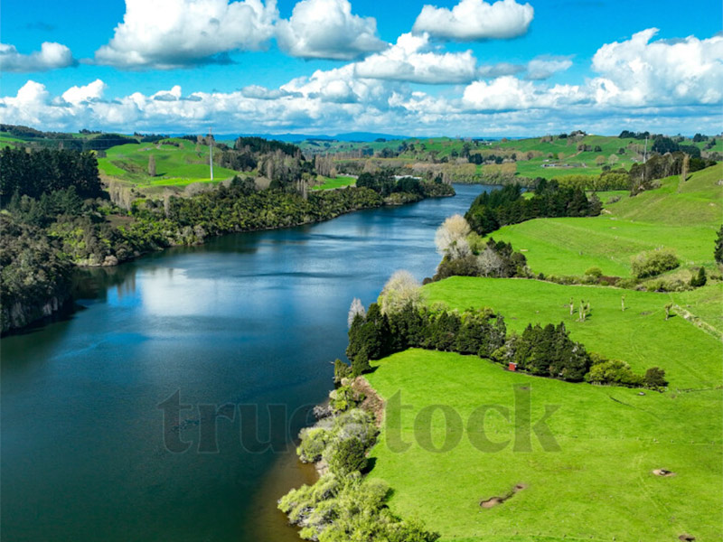 About - Vetora Veterinary Clinics - New Zealand