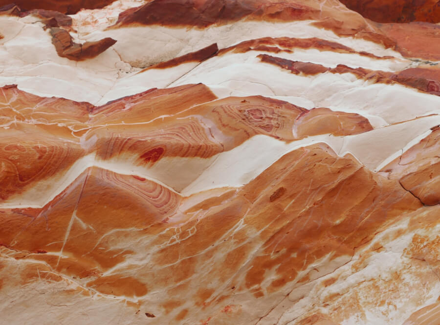 D.A.D.A. Families - Discover undiscovered Artwork