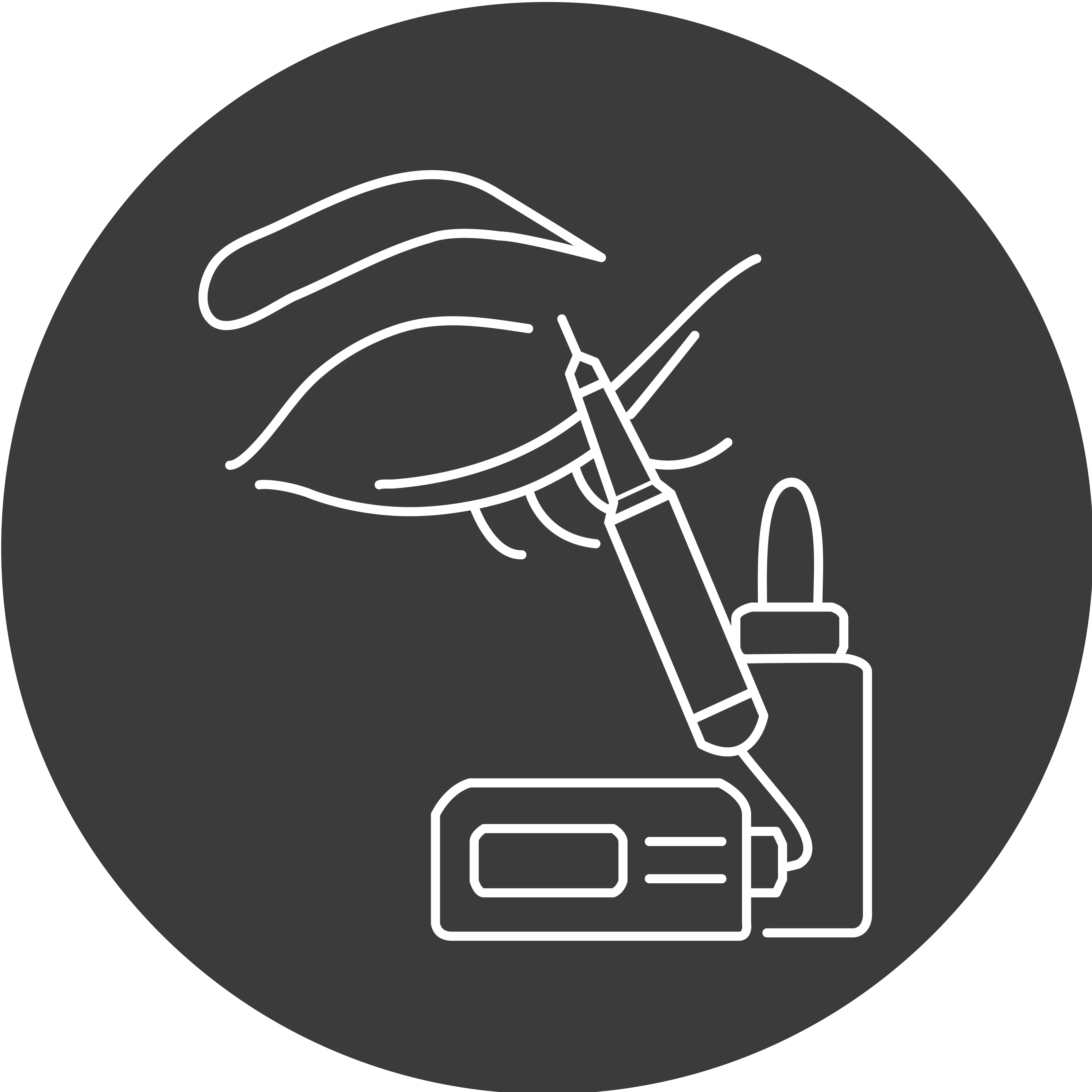 Browginering Training