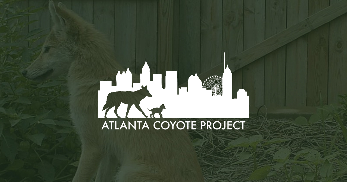 Home | Atlanta Coyote Project